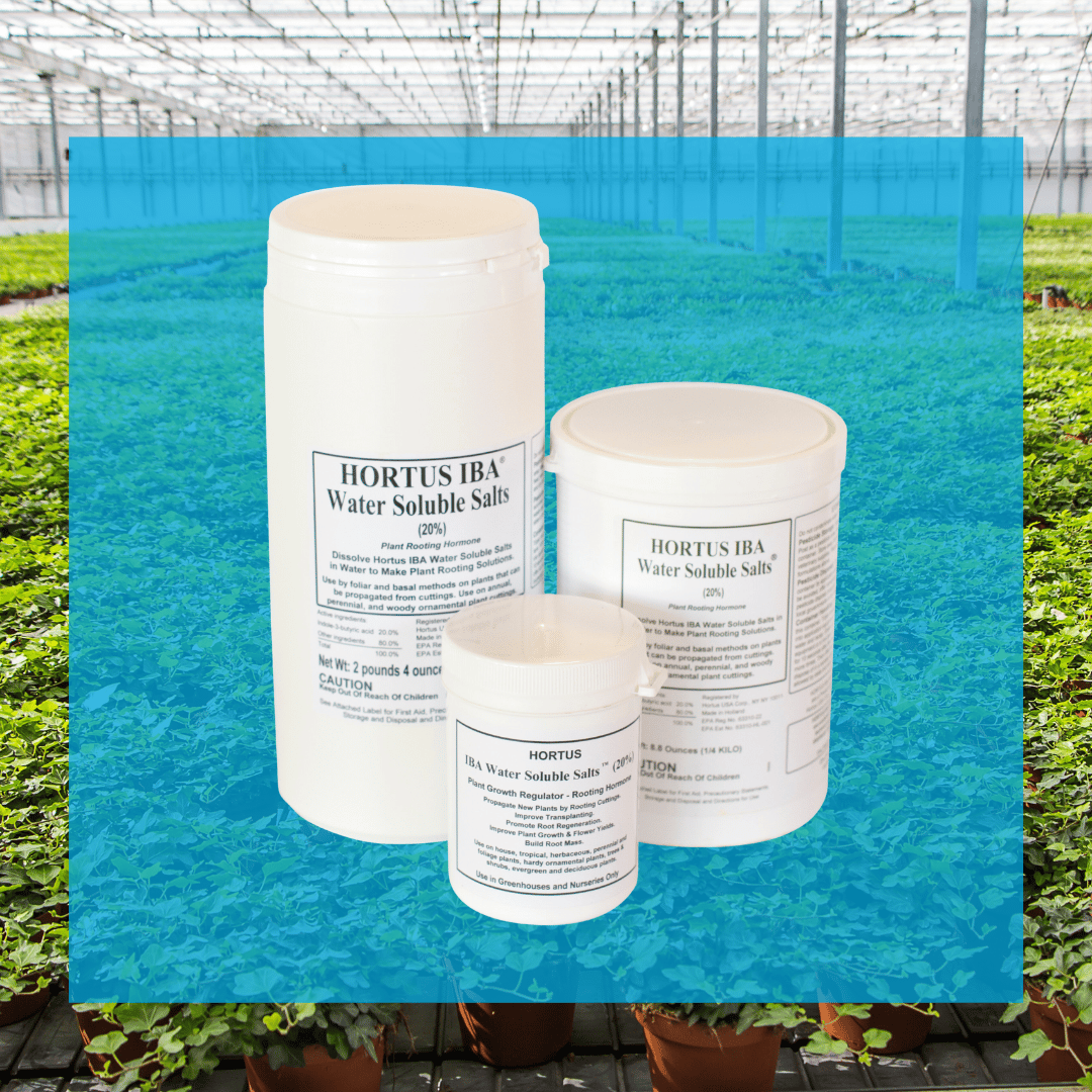 Unlock Growth Potential with Hortus IBA Water Soluble Salts