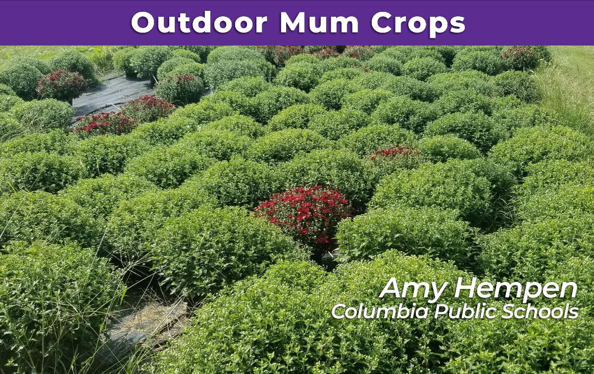 It's Time for a New Spring by Mike H. - Hummert International